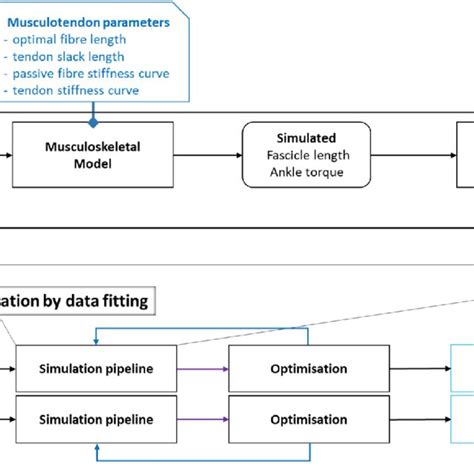 Overview Of The Study Methodology A The Simulation Pipeline Employed