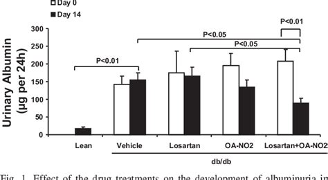Figure 1 From Combined Losartan And Nitro Oleic Acid Remarkably Improves Diabetic Nephropathy In
