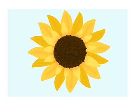 12 Real Life Examples Of The Fibonacci Sequence To Understand It Better Number Dyslexia