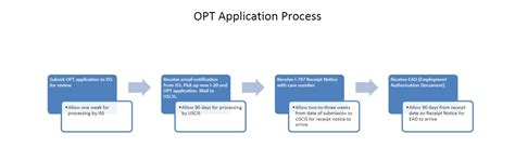 The OPT Decision Key Questions And Answers