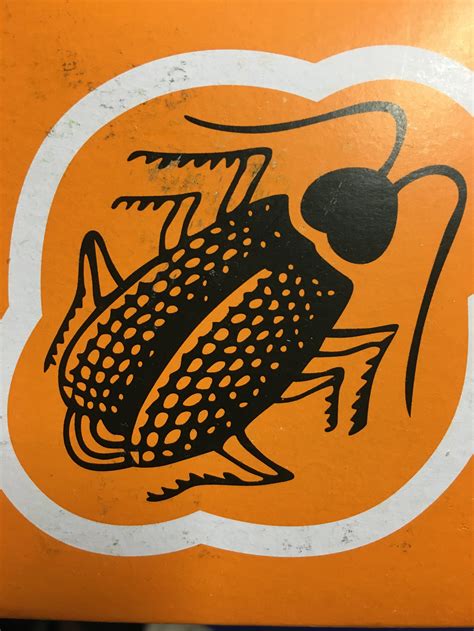Best Cockroach Killer