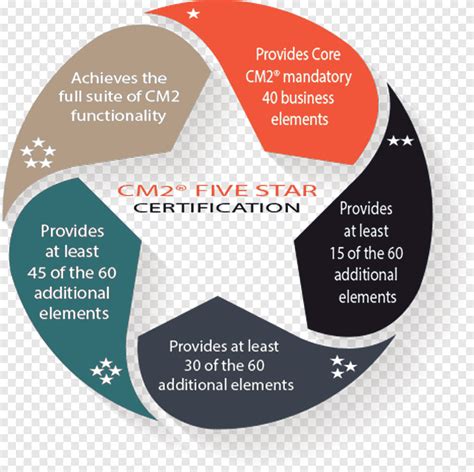 다이어그램 디지털 마케팅 인포 그래픽 레이블 Png Pngegg