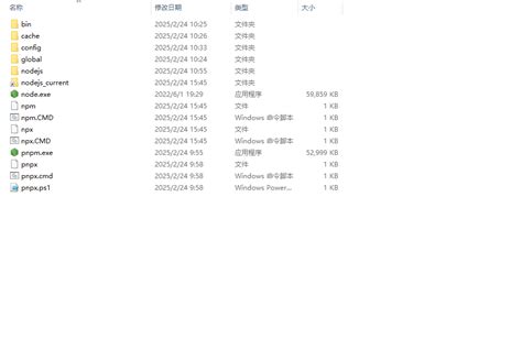pnpm 安装和使用 echo lovely 博客园