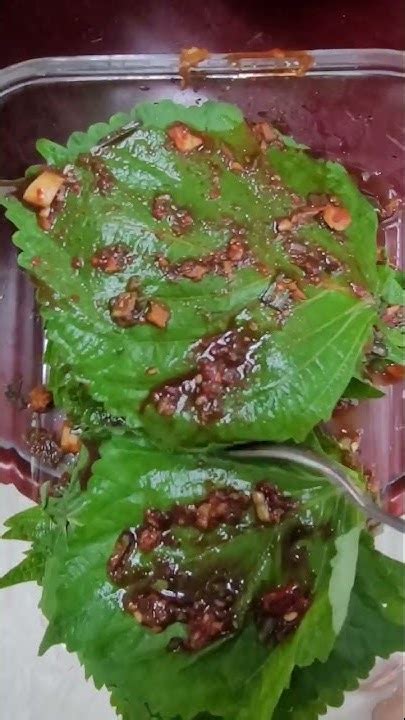 깻잎 논쟁의 원인 제공 Shorts Youtube