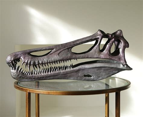 Baryonyx Dinosaur Skull 1 2 Scale 50cm Long Fossil Replica Spinosaurus