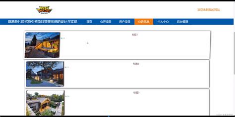 java计算机毕业设计临港新片区招商引资项目管理系统（附源码、数据库） 区域产业招商信息系统的开发代码 csdn博客