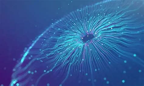 Oracle Industry Applications Oracle Netsuite Solution Hcltech