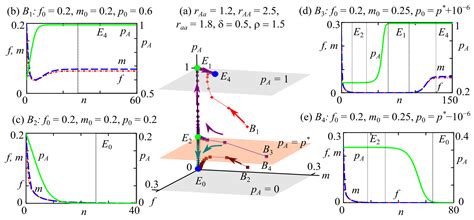 The Evolutionary Dynamics Of A Sex Structured Population With Non