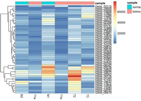 Making A Heatmap In R With The Pheatmap Package