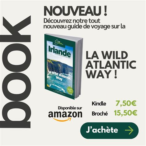 Le Tigre Celtique Irlandais Retour Sur Un Succès Inattendu • Guide