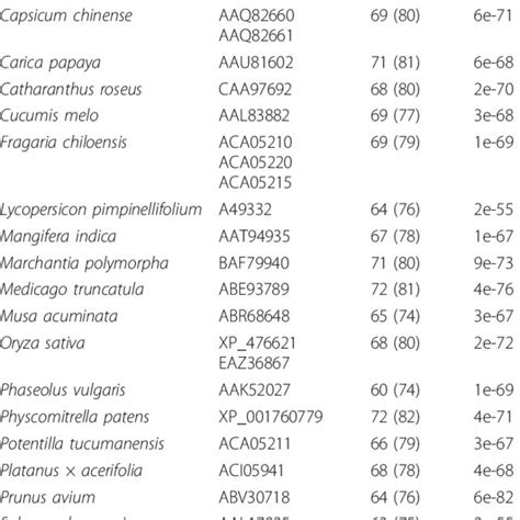 Chestnut Rose Serinethreonine Kinase Stk Gene Homologs In Different