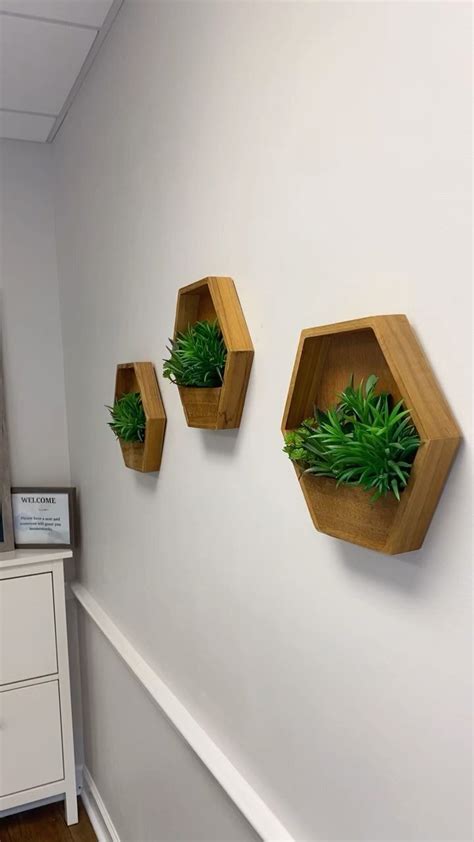 Illumii Educational Testing Counseling Tutoring College Planning