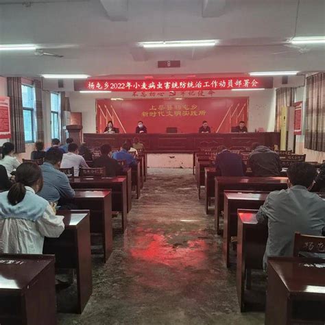 杨屯乡：开展病虫害统防统治，确保小麦增产增收工作行政村防控