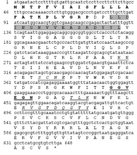 Figure 2 From Cloning Sequence Analysis And Crystal Structure Determination Of A Miraculin Like