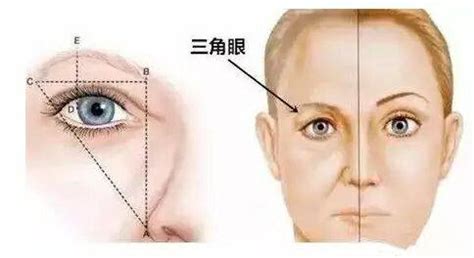 长有三角眼的人应该远离吗 搜狐大视野 搜狐新闻