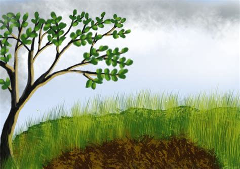 Nature Grass Tree Free Image On Pixabay