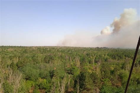 В Ростовской области у хутора Обуховка произошел пожар ИА Красная Весна