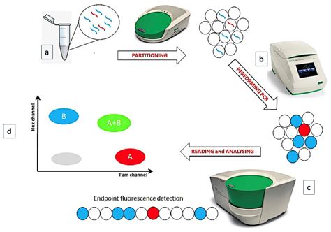 Digital Droplet Pcr In Hematologic Malignancies Encyclopedia Mdpi