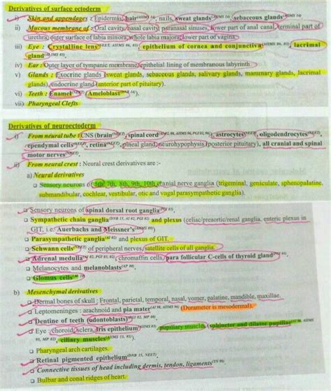 Derivatives Of Ectoderm Note Corneal Stroma Is From Neural Crest