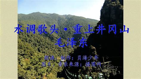 诗词朗诵《水调歌头·重上井冈山》文化艺术好看视频
