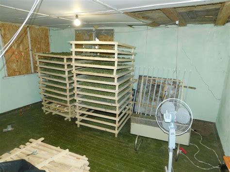 Иззеха близо 50 кг канабис в габровско село СНИМКИ Информационна агенция ПИК