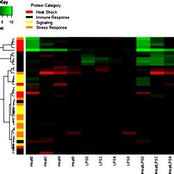 Log Fold Change Heat Map