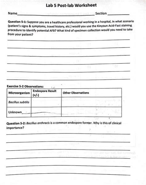 Exercise 5 1 Acid Fast Staining Method Learning