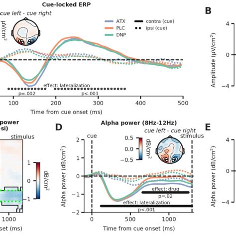 Attentional And Catecholaminergic Modulation Of Prestimulus Cortical Download Scientific