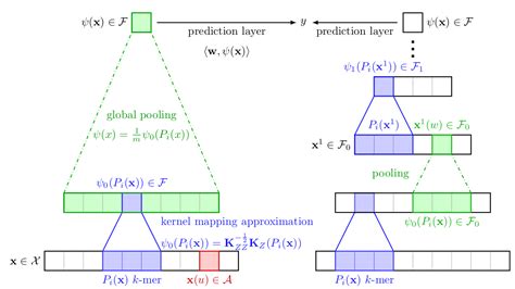 convolutional kernel networks laurent jacob