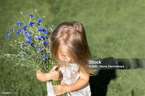 길고 흐르는 금발 머리를 가진 어린 소녀는 선물로 야생화의 큰 꽃다발을 운반합니다 부드러운 사진 여름 분위기 사람들에 대한 스톡 사진 및 기타 이미지 Istock