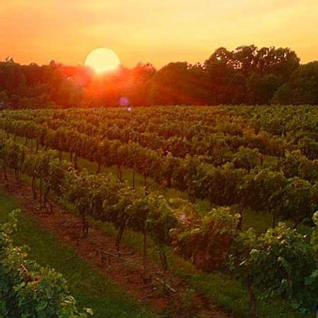 Boa Vista Orchards Placerville 2018 All You Need To Know Before You