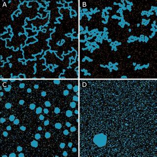 Representative Snapshots Of The Isotropic System With Short Ranged Download Scientific Diagram