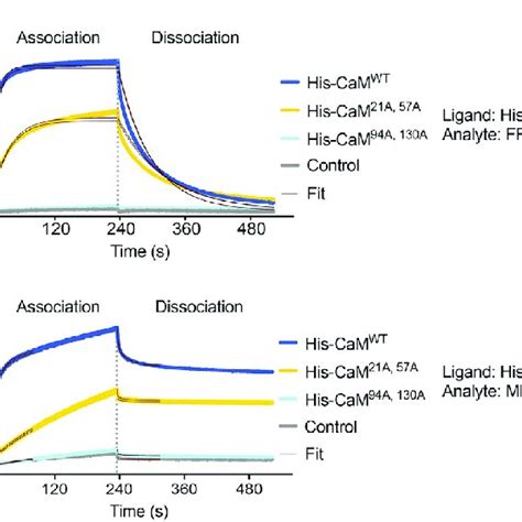 Mlck Based Fret Assay Principle And Purified Proteins Used In The Fret
