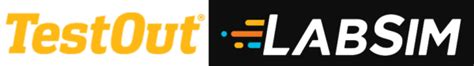 TestOut Labsim AV Technology