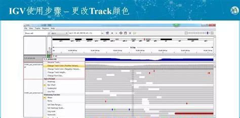 测序数据可视化 （二） Igv