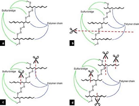 Representation Of A Cross Linked Rubber And Possible Types Of Bond