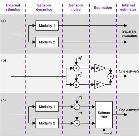 Three Different Types Of Modelling Schemes For Multisensory