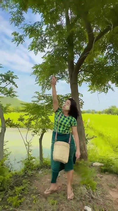 ဒေါ်ဆုဝေကို အားပေးတဲ ချစ်ပရိတ်ကြီးကျေးဇူးပါ😍 Youtube