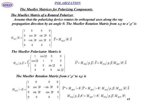 Polarization