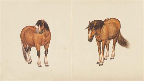 近 马晋 马24X27 4cmX24开 12张国画超高清大图原图扫描真迹全图书画图片下载