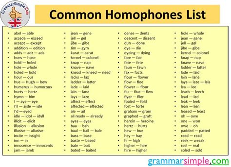 100 Common Homophones List Grammarsimplecom