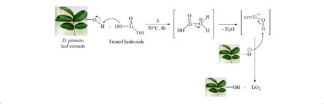 Possible Reaction Mechanism For The Formation Of TiO 2 NPs In Download Scientific Diagram