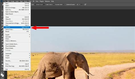 Remove Part Of Image Easy To Use Photo Repair Tools