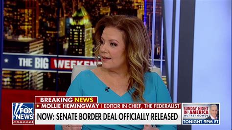 Cartels Control Our Border Right Now Mollie Hemingway Fox News Video
