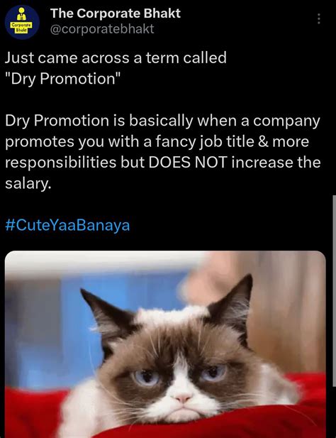 Sayantan Dutta Majumder On Linkedin Yea I Am Also Dry Promoted 🙃