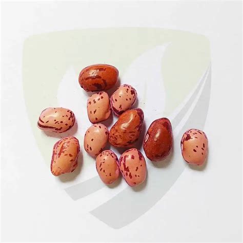 Semilla De Frijol Cargamanto Blanco X 1kg Croper