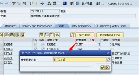 Sap Se11 创建自定义表教程 Csdn博客