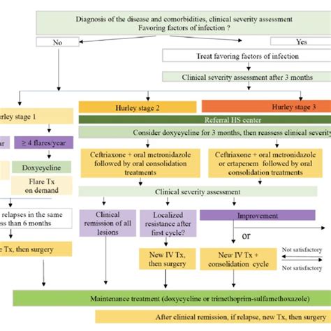 3 Title Example Of Treatment Algorithm Download Scientific Diagram