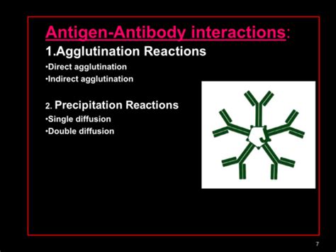 Precipitation Reaction Vs Agglutination