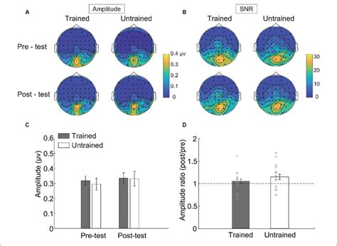 Steady State Visual Evoked Potential Ssvep Results Topographical Download Scientific